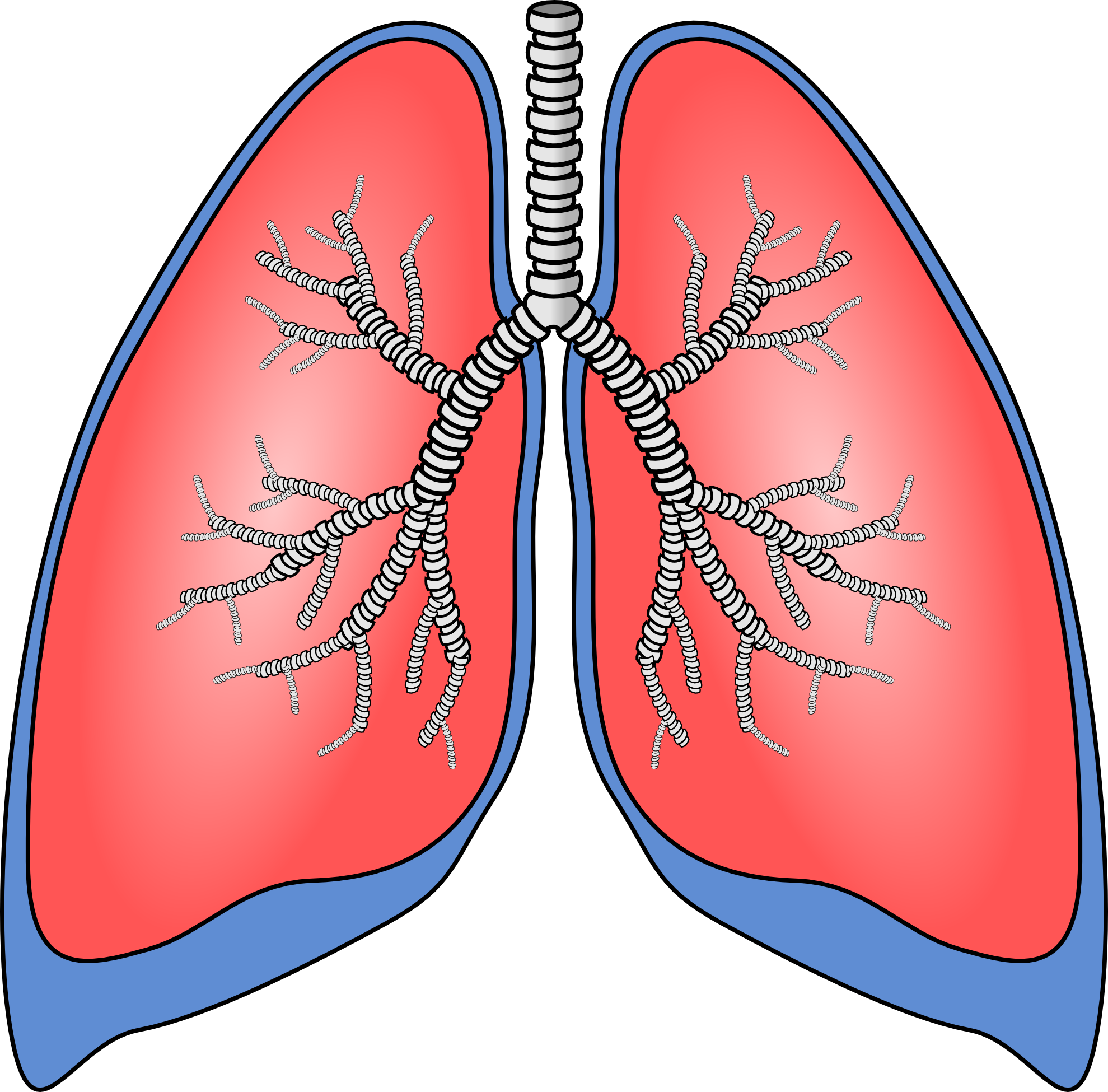 Che cos’è lo pneumotorace?